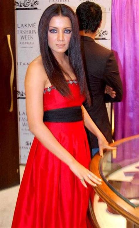Bollywood Actress Celina Jetli Cool Photos