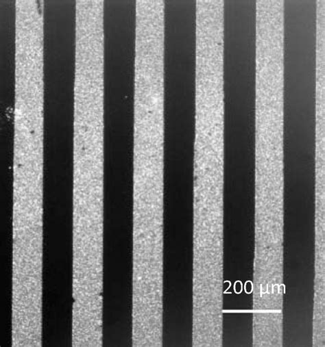 Sum Frequency Generation Compressive Sensing Microscope The Journal Of Chemical Physics Aip