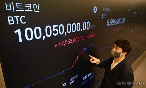 ‘반년 뒤 상승 비트코인 반감기 패턴 이번에도 투자360