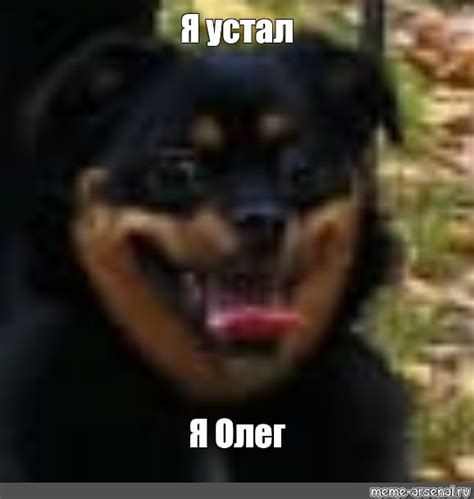 Мем Я устал Я Олег Все шаблоны Meme