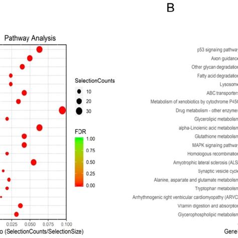 Kegg Analysis Of Degs A Top 20 Downregulated Pathways Enrichment