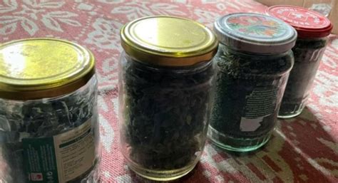 Иззеха голямо количество марихуана в буркани Информационна агенция ПИК