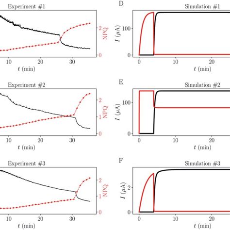 comparison between experimental replicates and simulations a c three