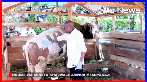 Ndume Wa Khalwale Auawa Mfanyakazi Wa Miaka 46 Kakamega YouTube