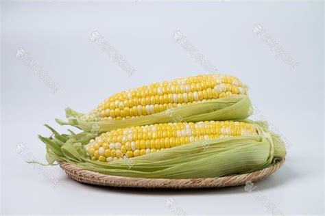 상업용 무료 이미지 찰옥수수 초당옥수수 사진 Vegetables Food Corn