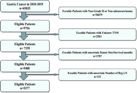 Figure 1 From Machine Learning To Predict Distant Metastasis And Prognostic Analysis Of