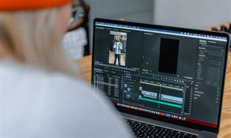 Life Cycle Patterns Of Algae 5 Types Of Life Cycle In Algae Rajus