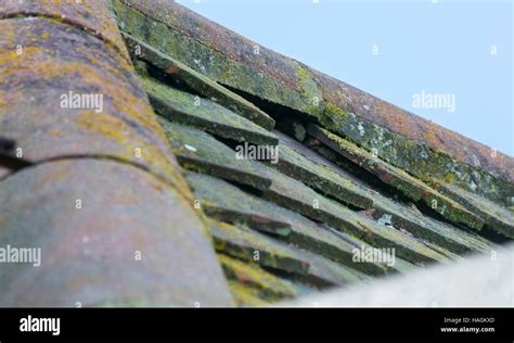 Tiles Missing Hi Res Stock Photography And Images Alamy