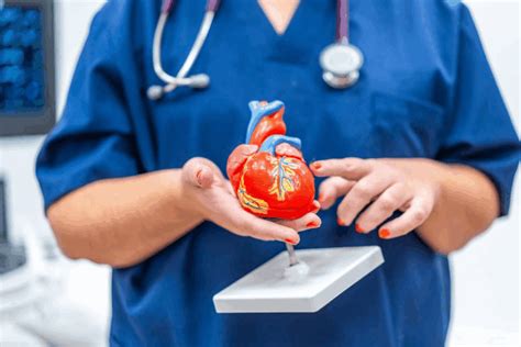 Cardiologist Definition What They Do Explained Liv Hospital