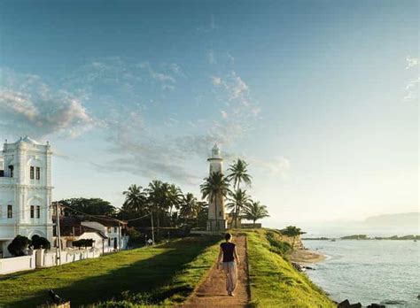 Sri Lanka All Inclusive Romantic Honeymoon 7 Days Package Getyourguide