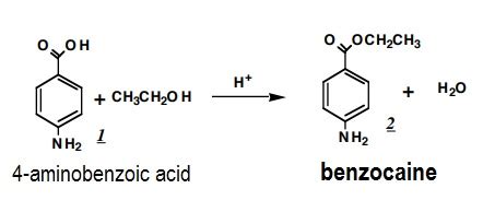 Ethyl 4 Aminobenzoate Structure