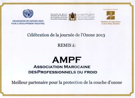 Redouane Alioua Posted On Linkedin
