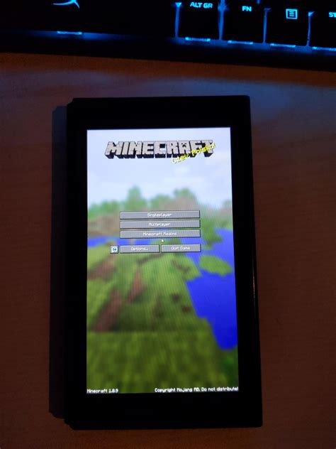 Minecraft Java On My Switch Using L4t Ubuntu Tutorial R