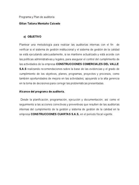 Programa Y Plan De Auditoría Pdf Auditoría Gestión De La Calidad