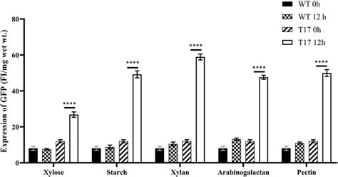 Fluorescence Intensity Determination Of Enhanced Green Fluorescent
