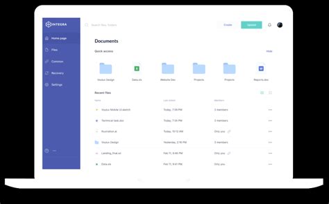 Integra Ledger Debut Infotech