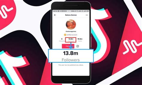 how to use paid promotions to get more tiktok likes wamp infotech