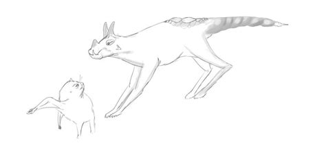 Discuss Everything About Doodle World Wiki Fandom