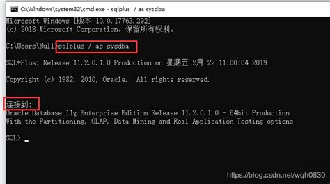 sqlplus as sysdba 报insufficient privileges 权限不足 的解决方案 csdn博客