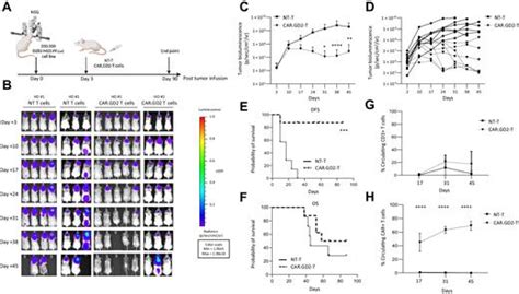 Gd2 Targeting Car T Cell Therapy For Patients With Gd2 Medulloblastoma