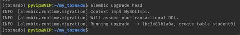 使用alembic进行数据库版本管理peewee Alembic版本 Csdn博客