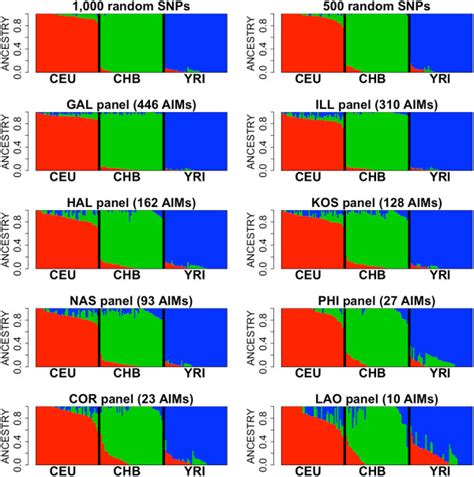 Bar Plots Of Ancestry Memberships Inferred For Yri Chb And Ceu