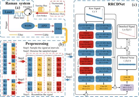 Schematic Diagram Of Raman Signal Acquisition And Denoising Process Download Scientific