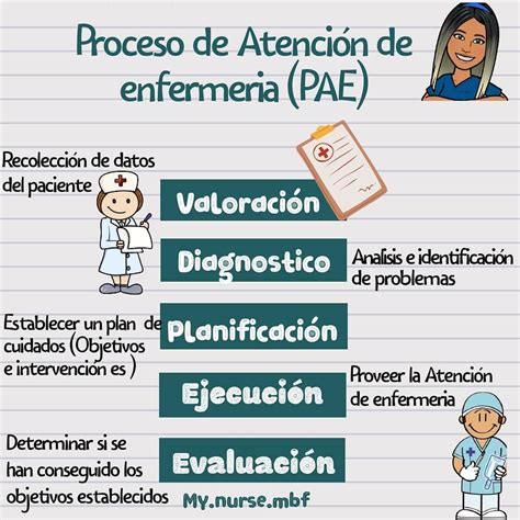 Proceso De Atención De Enfermería Artofit