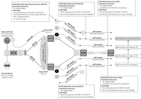 The Network Times Evpn Esi Multihoming Part Ii Fast Convergence And