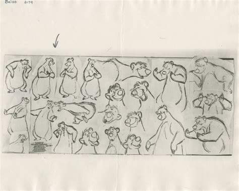 The Jungle Book Baloo Photostat Model Sheet 1967 Id Feb24305 Van