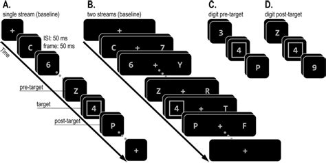Illustration Of The Stimulus Sequence In Experiment 1 Participants Had
