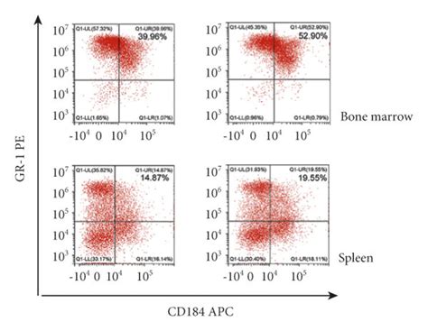 Cxcr4 Expression Was Increased In Mdscs Treated With Exosomes Both In