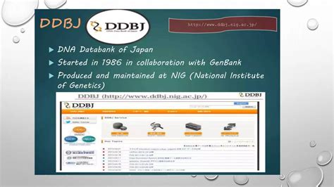 Databasepptx