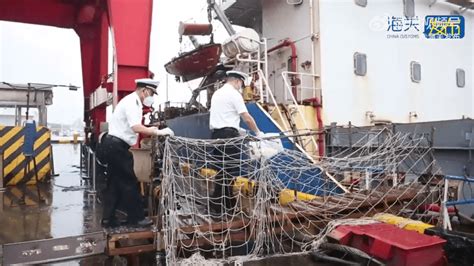 毛管戙│入境內地貨船驚現逾萬餘隻曱甴 海關人員點處理？ 星島日報