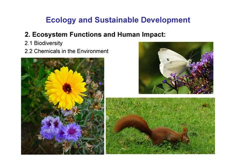 Eco SD Part Ecosystem Functions Ecology And Sustainable Development Ecosystem Functions