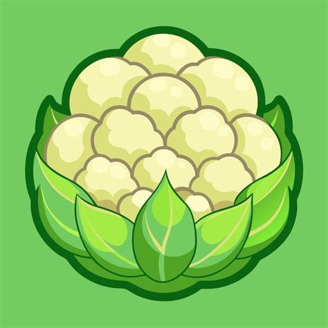Cauliflower Vector Graphics Illustration Premium Ai Generated Vector