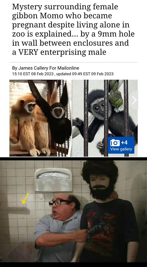 Animated Reenactment Rshitposting