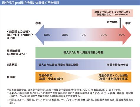【座談会】心不全学会によるbnpに関するステートメントの改訂について