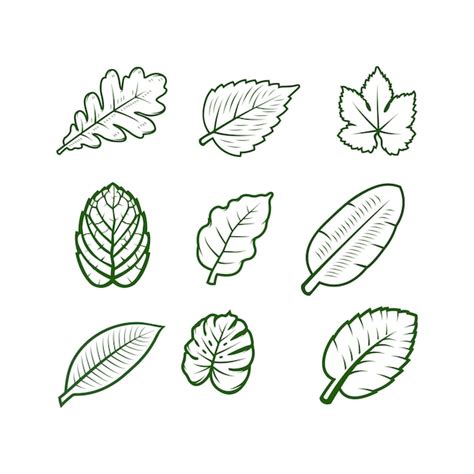 Un Dibujo De Hojas Que Son Verdes Y Las Hojas Son Verdes Vector Premium
