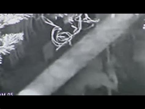 Grinch Caught On Camera Stealing Custom Christmas Decorations From