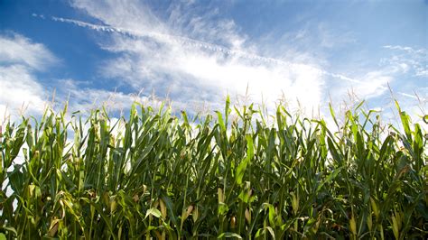 Where To Stay In Intercourse Best Neighborhoods Expedia