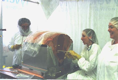 Assembly Of The Fcal1 Module Zero