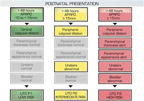Ureteropelvic Junction Obstruction Hydronephrosis Urologic Clinics