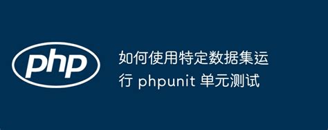 如何使用特定数据集运行 phpunit 单元测试 叮当号