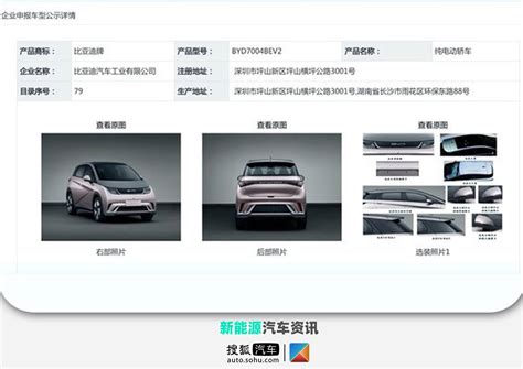 最大功率130kw 比亚迪海豚高性能版曝光kwh