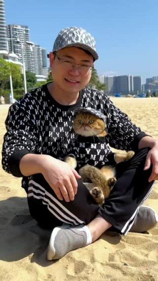 Клипы Котятки Милашки
