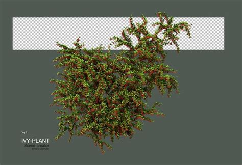 Premium Psd 3d Render Ivy With Colorful Flowers
