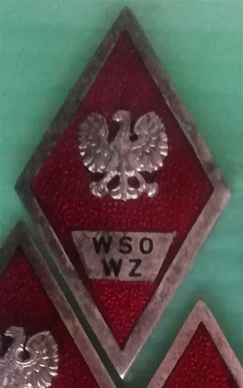 Absolwentka WSO WZ WOJSKA ZMECHANIZOWANE 12734133983 Oficjalne