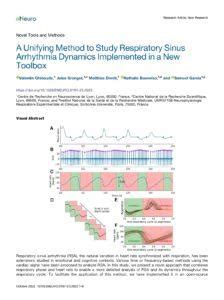 A Unifying Method To Study Respiratory Sinus Arrhythmia Dynamics