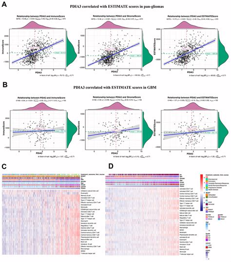 Pdia3 Correlates With Clinical Malignant Features And Immune Signature